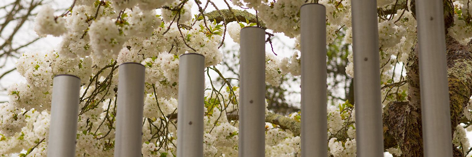 Help wake up your spring senses with our '5 Ways to Celebrate Spring ...